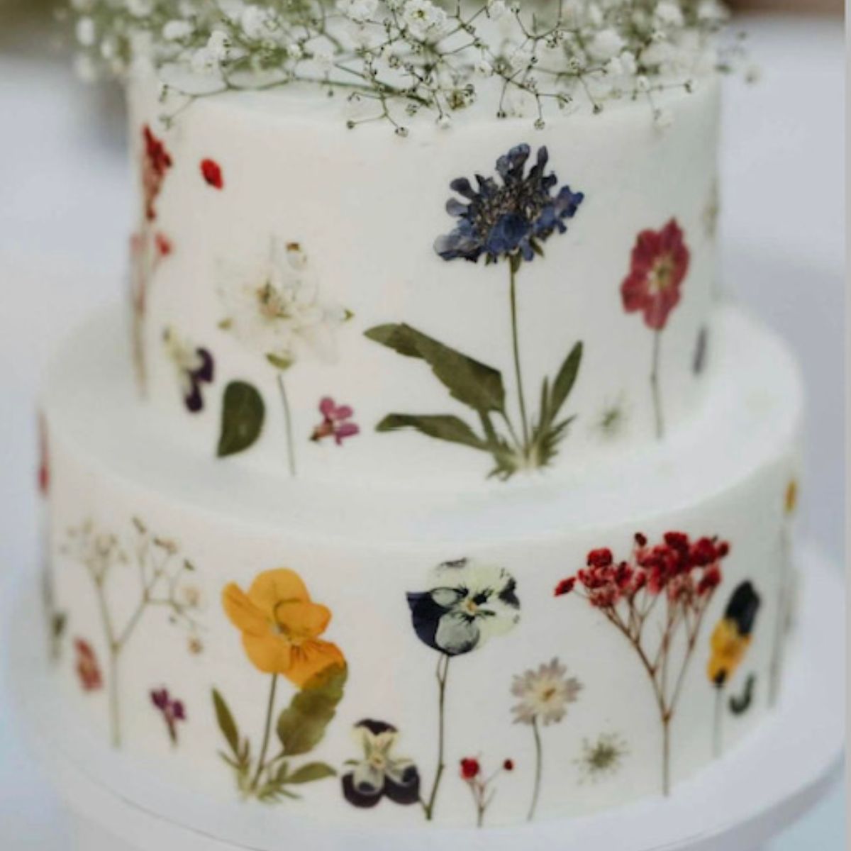 2-Tiered Simple Pressed Flower Cake *Local delivery & pick-up only ...
